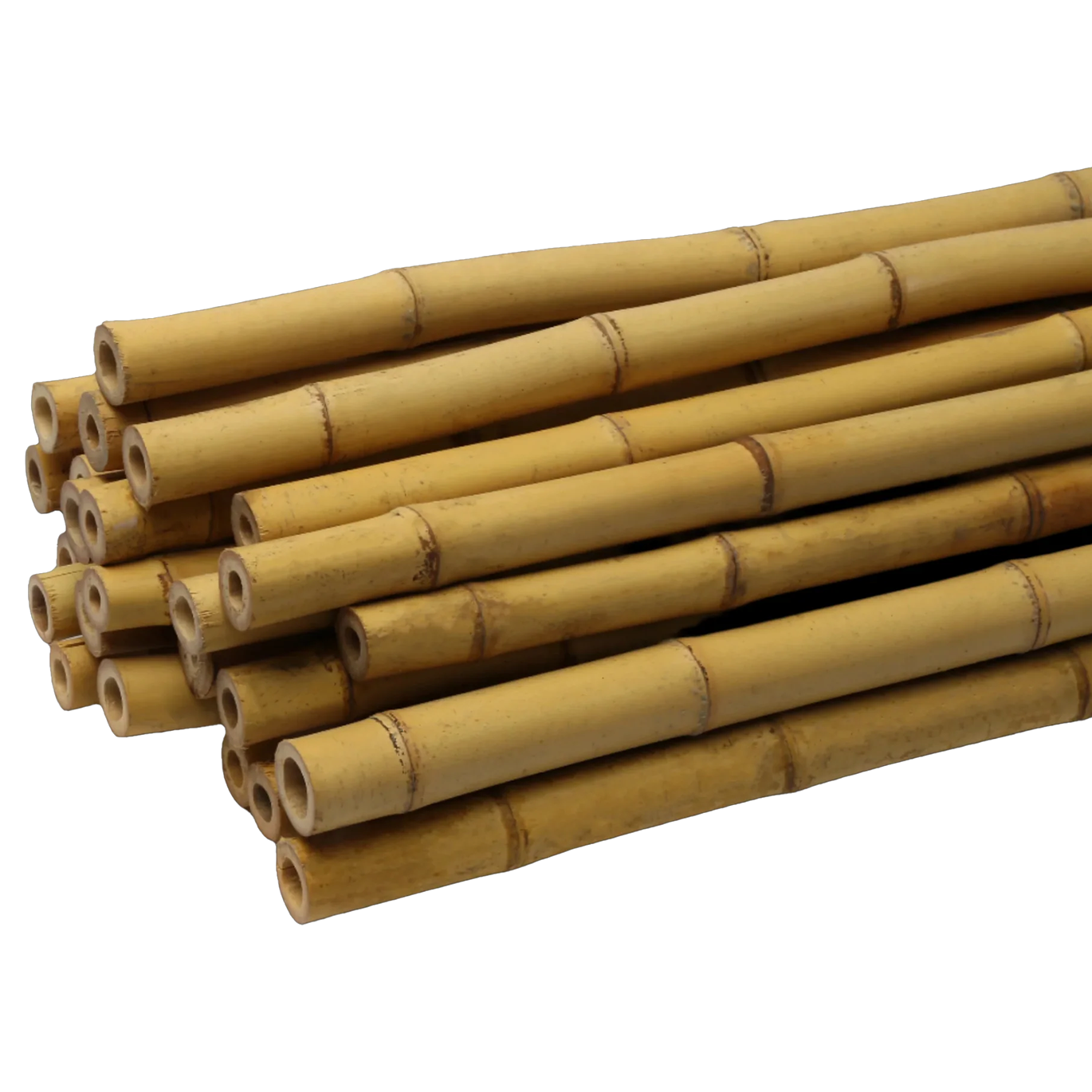 Bamboo Support Poles For Schach – Leiter's Sukkah
